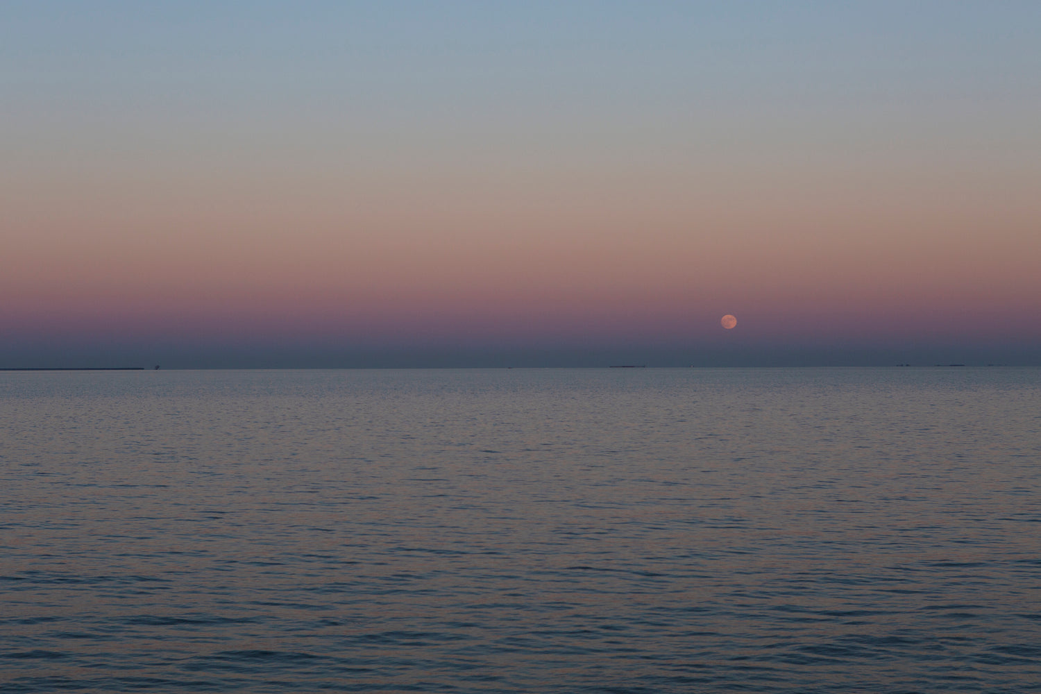Moonrise on the Bay – Libbie Masterson Studio